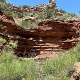 Haynes Ridge and Upper North Prong Trail Loop, Texas - 766 Reviews, Map ...