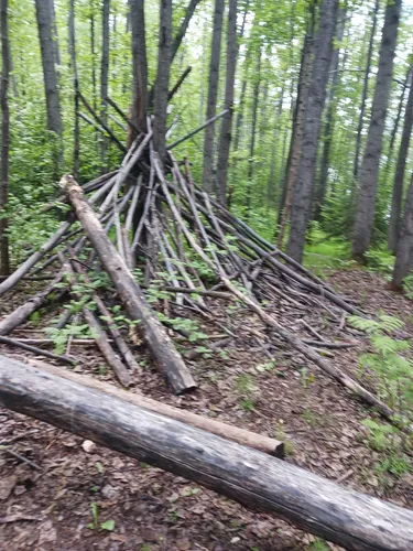 Best Hikes and Trails in Cheney Lake Park | AllTrails