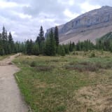 Hidden Lake Trail, Alberta, Canada - 328 Reviews, Map | AllTrails