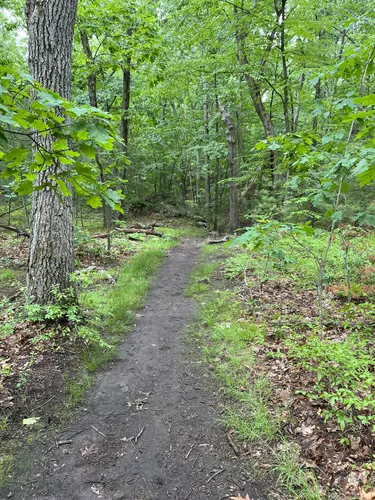 Best 10 Hikes and Trails in Middlesex Fells Reservation | AllTrails