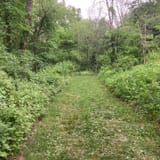 Point Ann Trail, Iowa - 78 Reviews, Map | AllTrails