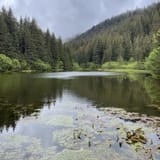 Two Lakes Trail, Alaska - 380 Reviews, Map | AllTrails