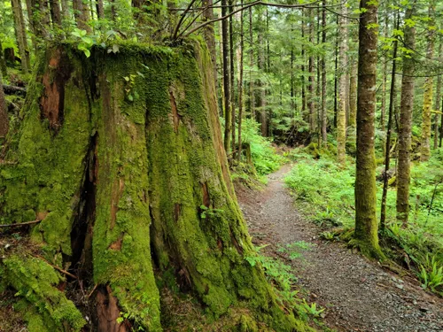 Best Hikes and Trails in Jackson Hydroelectric Project, Spada Lake | AllTrails