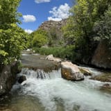 Jones Hole Trail, Utah - 276 Reviews, Map | AllTrails