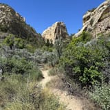 Jones Hole Trail, Utah - 276 Reviews, Map | AllTrails