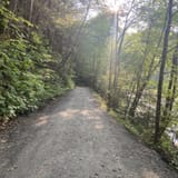 Hamilton Falls Trail, Vermont - 687 Reviews, Map | AllTrails