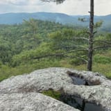 Hamilton Falls Trail, Vermont - 687 Reviews, Map | AllTrails