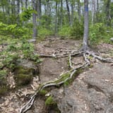Hamilton Falls Trail, Vermont - 687 Reviews, Map | AllTrails