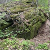Hamilton Falls Trail, Vermont - 687 Reviews, Map | AllTrails