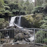 Toorongo and Amphitheatre Falls, Victoria, Australia - 256 Reviews, Map ...