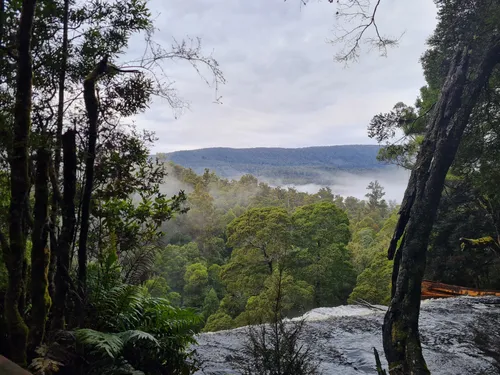 Las 10 mejores rutas para pasear en Parque Nacional del Monte Field en ...