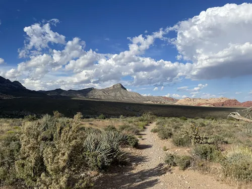 10 Best Trails and Hikes in Blue Diamond | AllTrails