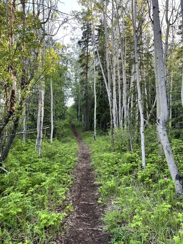 Best Hikes and Trails in Tā Ch’ilā Provincial Park (Boya Lake) | AllTrails