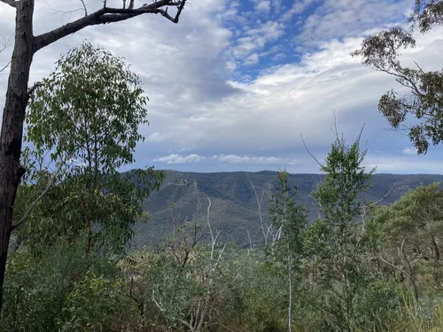 Best Hikes and Trails in Pokolbin State Forest | AllTrails