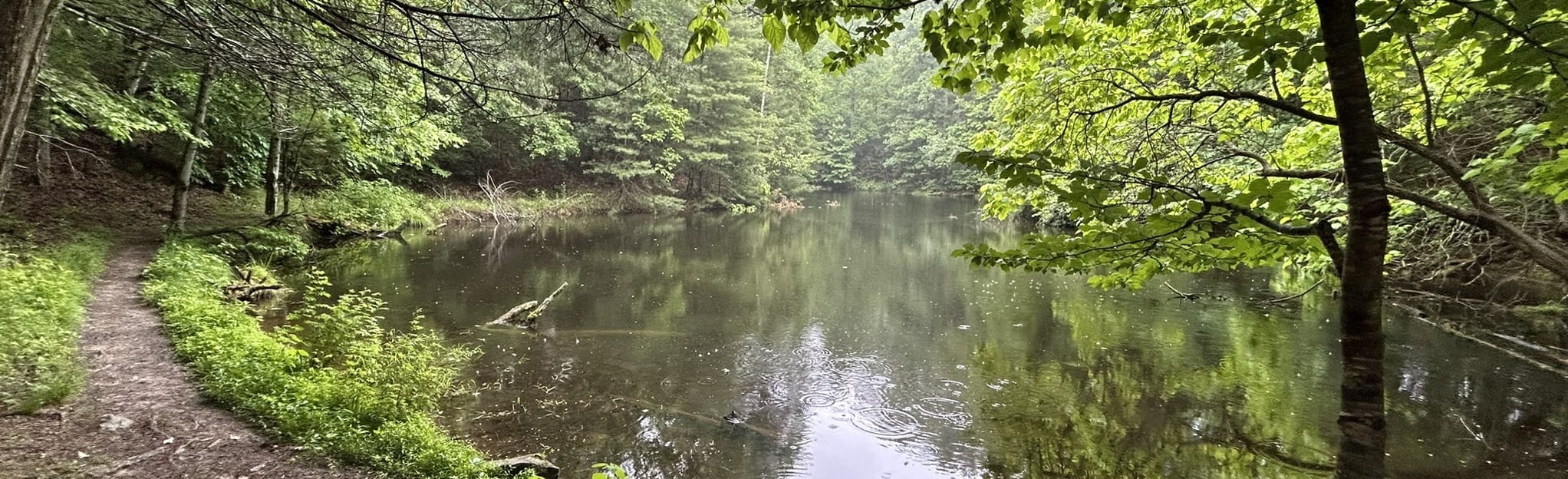 Pump Gap Loop via the Appalachian Trail at Mill Ridge Trail, North ...