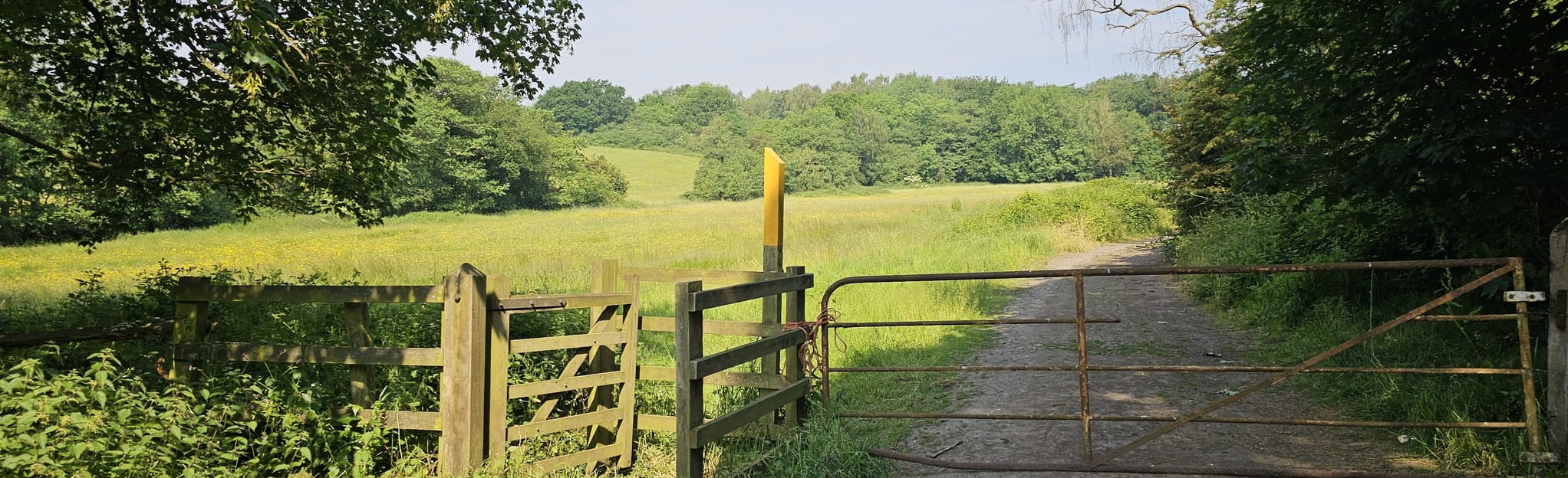 Sheet Hedges Wood and Lady Hay Wood, 18 Photos - Leicestershire ...