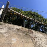 Path of Lemons, Campania, Italy - 351 Reviews, Map | AllTrails