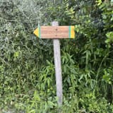 Path of Lemons, Campania, Italy - 351 Reviews, Map | AllTrails