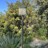 Path of Lemons, Campania, Italy - 351 Reviews, Map | AllTrails