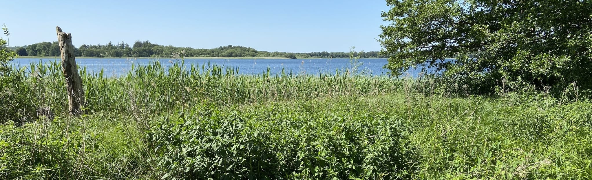 Lille Hareskov - Søndersø MTB, Capital Region of Denmark, Denmark - 2 ...