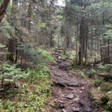 Stratton Mountain and Stratton Pond Loop, Vermont - 331 Reviews, Map ...