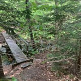 Stratton Mountain and Stratton Pond Loop, Vermont - 331 Reviews, Map ...