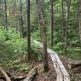 Stratton Mountain and Stratton Pond Loop, Vermont - 331 Reviews, Map ...