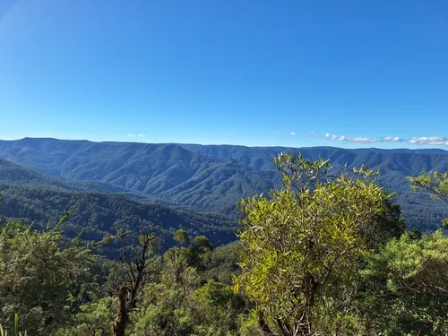 Best Hikes and Trails in Chichester State Forest | AllTrails
