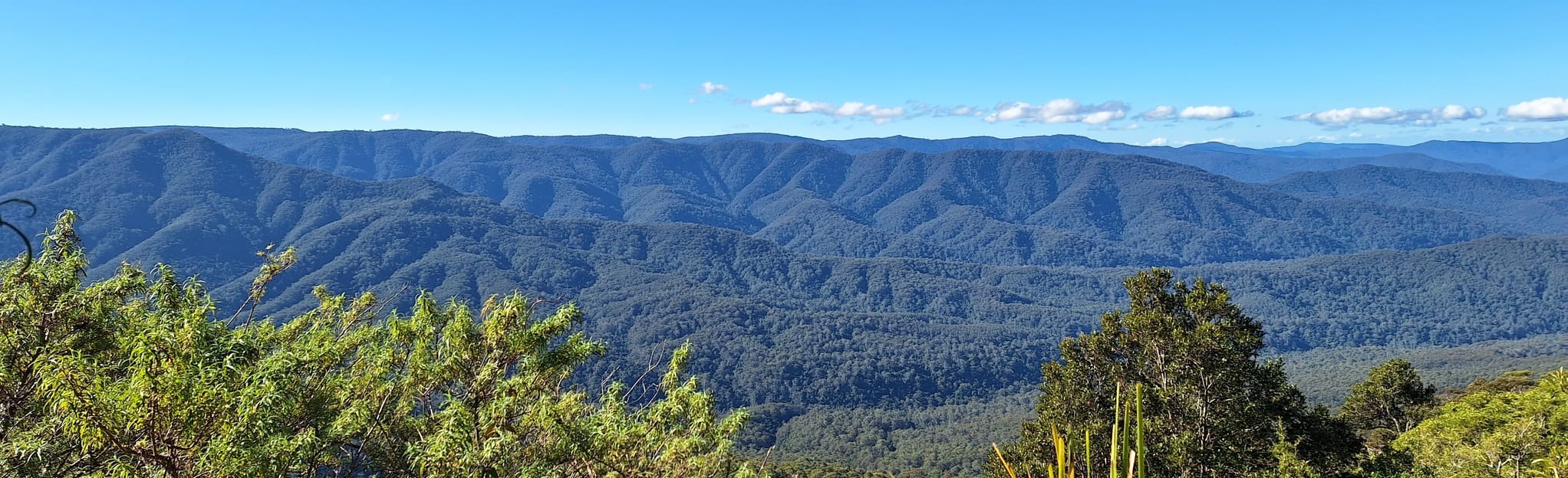 Mt Allyn Lookout Walk, New South Wales, Australia - 3 Reviews, Map ...