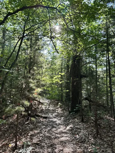 Best Hikes and Trails in Duck Lake State Park | AllTrails