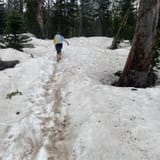 Gilpin Lake Trail, Colorado - 500 Reviews, Map | AllTrails