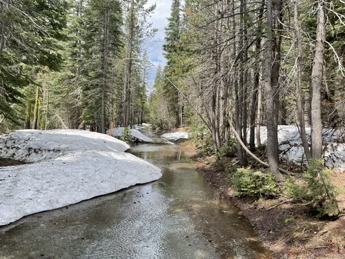 10 Best Trails and Hikes in Pollock Pines | AllTrails