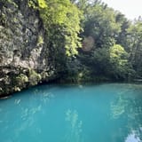 Blue Spring Trail, Missouri - 194 Reviews, Map | AllTrails