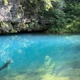 Blue Spring Trail, Missouri - 194 Reviews, Map | AllTrails
