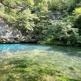 Blue Spring Trail, Missouri - 194 Reviews, Map | AllTrails
