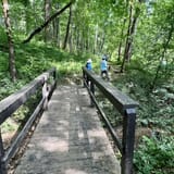 Blue Spring Trail, Missouri - 194 Reviews, Map | AllTrails