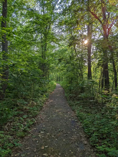 Best Hikes and Trails in August A Busch Memorial Conservation Area ...