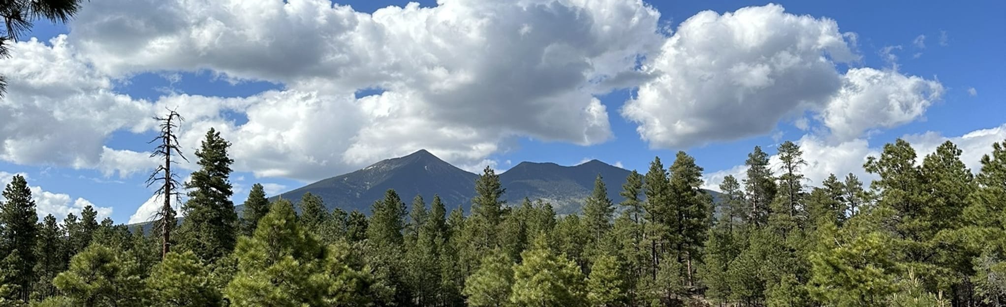 Chimney Springs Trail, Arizona - 127 Reviews, Map | AllTrails