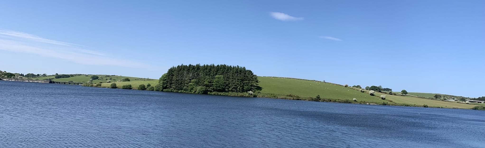 Siblyback Lake Circular, Cornwall, England - 87 Reviews, Map | AllTrails