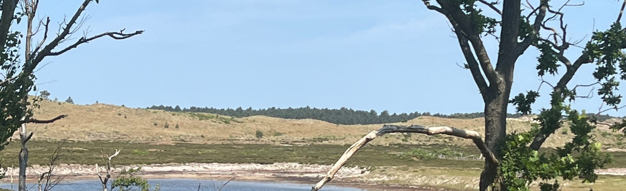 Schoorl - De Berenkuil: 5 Reviews, Map - North Holland, Netherlands ...