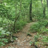 Trout Run Trail, Pennsylvania - 328 Reviews, Map | AllTrails