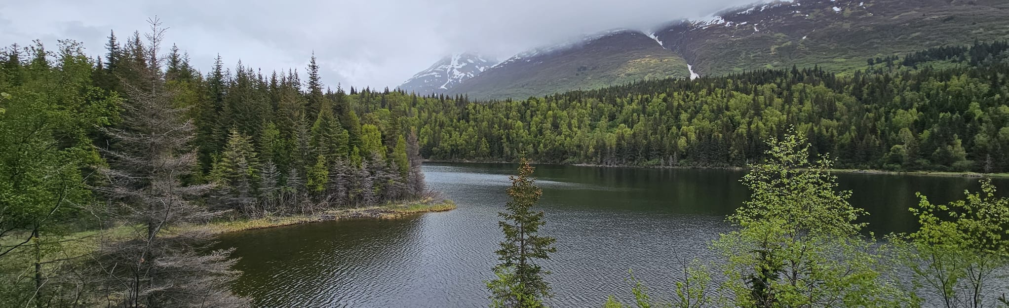 Vagt Lake Trail, Alaska - 129 Reviews, Map | AllTrails