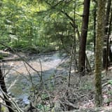 Hemlock Trail, Pennsylvania - 357 Reviews, Map | AllTrails
