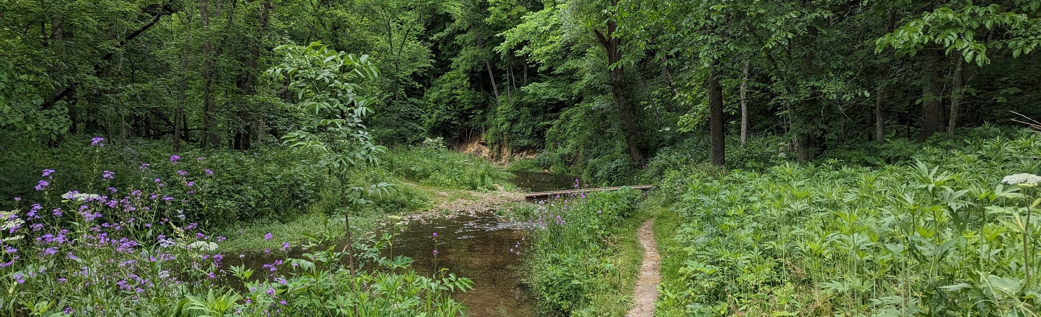 Beaver Creek Valley Short Loop, Minnesota - 89 Reviews, Map | AllTrails