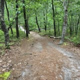 Atlantic White Cedar Swamp Trail, Massachusetts - 820 Reviews, Map ...