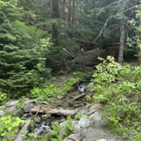 Mount Kit Carson Loop Road, Trail 140 and Trail 110 Loop, Washington ...