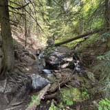 Mount Kit Carson Loop Road, Trail 140 and Trail 110 Loop, Washington ...