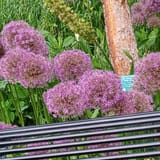 Red Butte Gardens Small Loop, Utah - 289 Reviews, Map | AllTrails