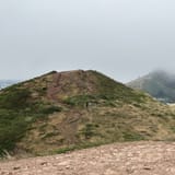 Twin Peaks and Mount Sutro Loop, California - 644 Reviews, Map | AllTrails