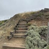 Twin Peaks and Mount Sutro Loop, California - 644 Reviews, Map | AllTrails